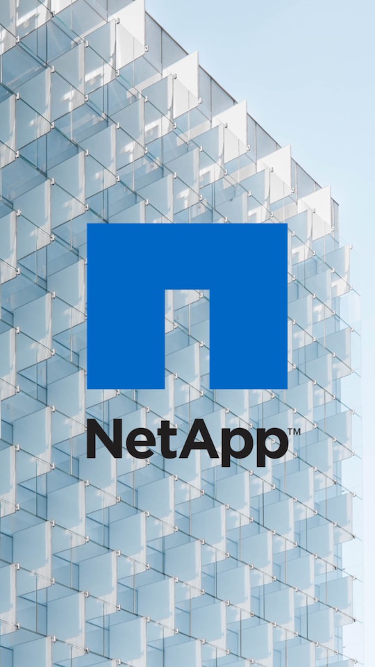 Netapp Case Study by Sociallyin | Forging Better Connections